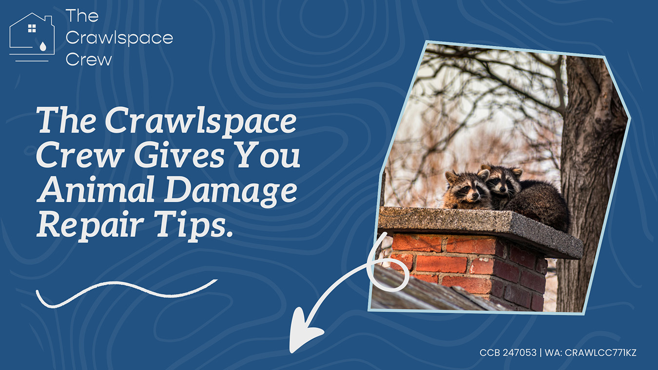 Homeowner's Guide to Animal Damage Prevention